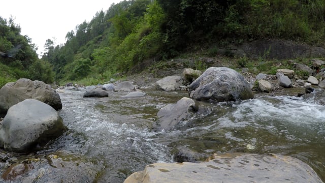 River Stream Rocks - Free video on Pixabay