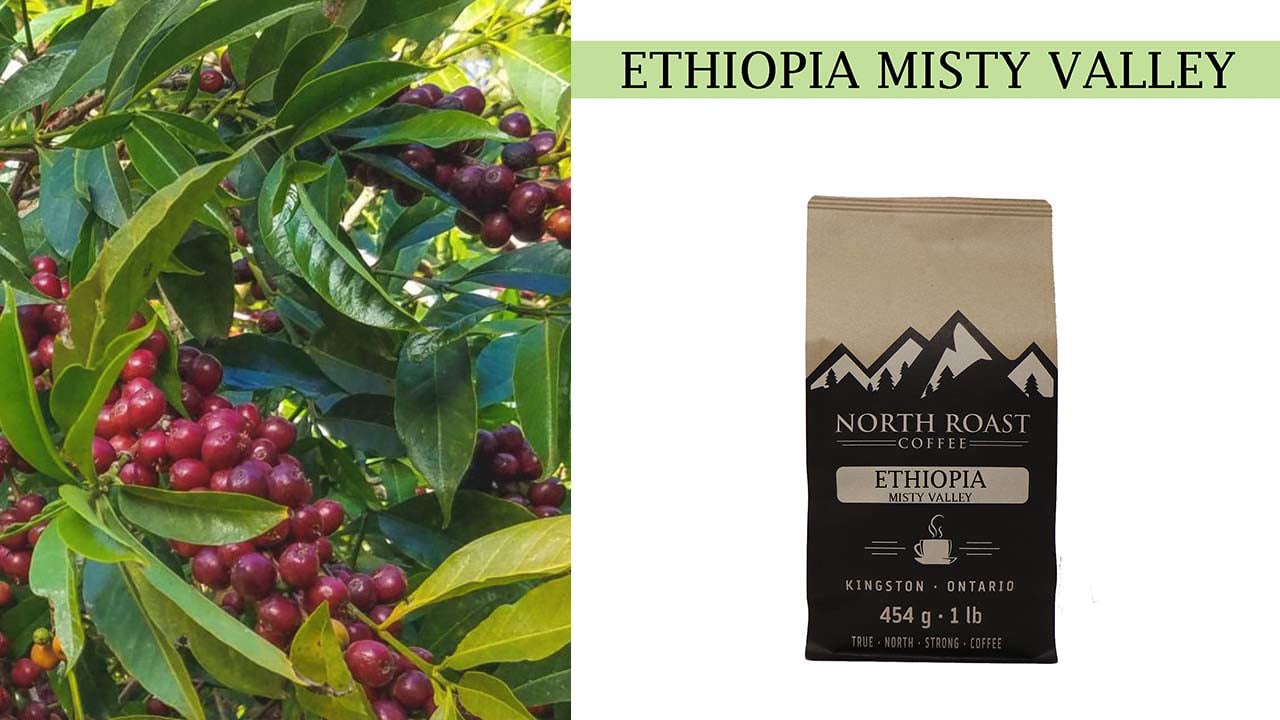 Micro Lot Roasting Event on Vimeo