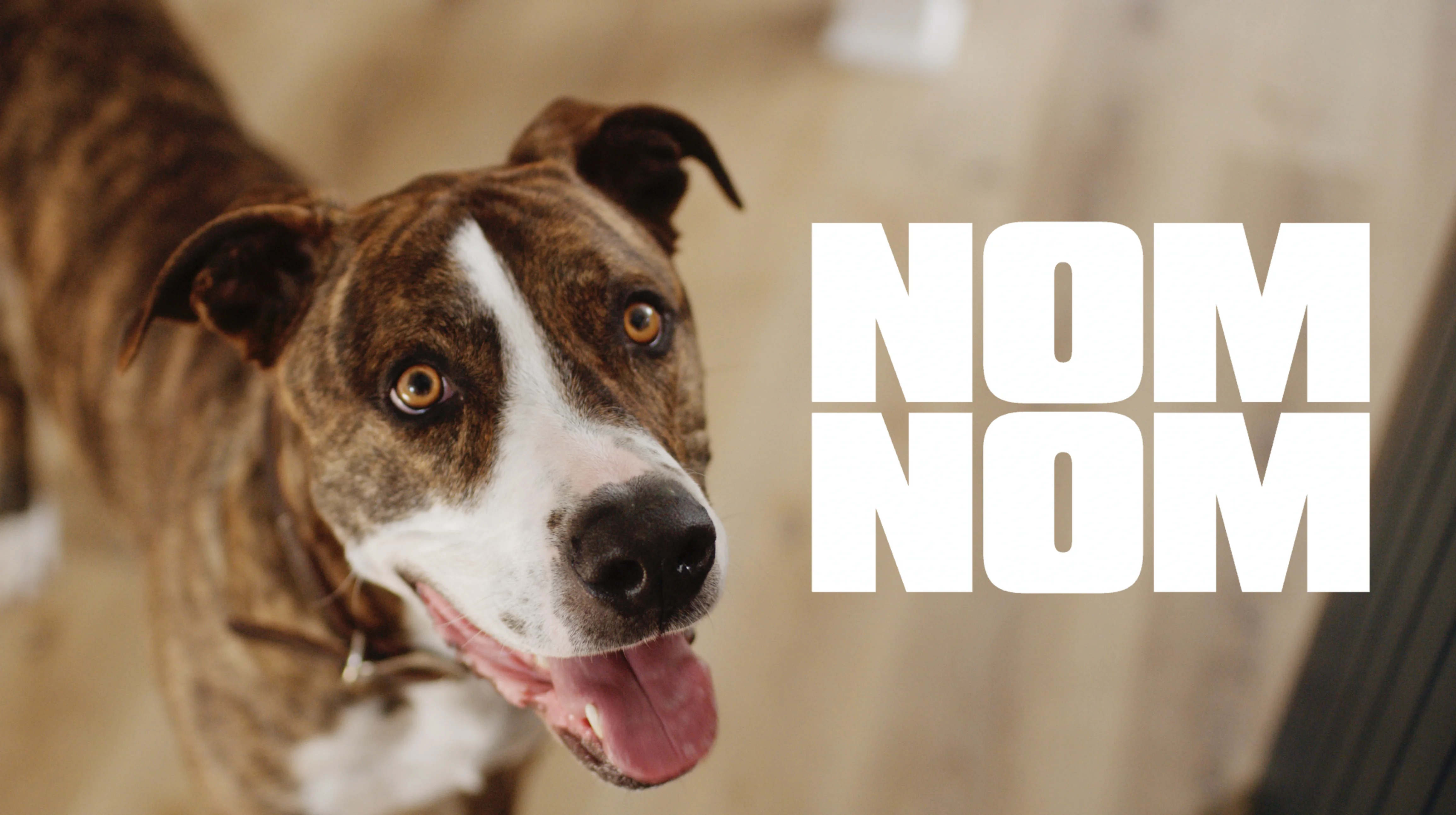 Nom Nom - 'Explain' - 30s TVC on Vimeo