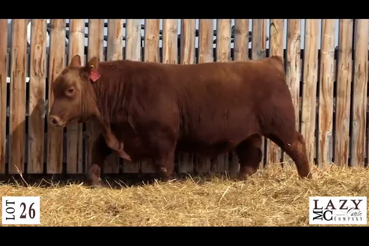 Lazy MC Lot 26_sm.mp4 on Vimeo