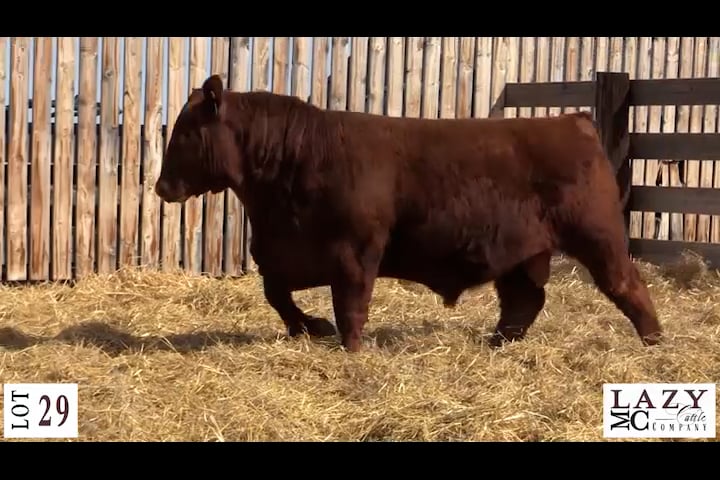 Lazy MC Lot 29_sm.mp4 on Vimeo