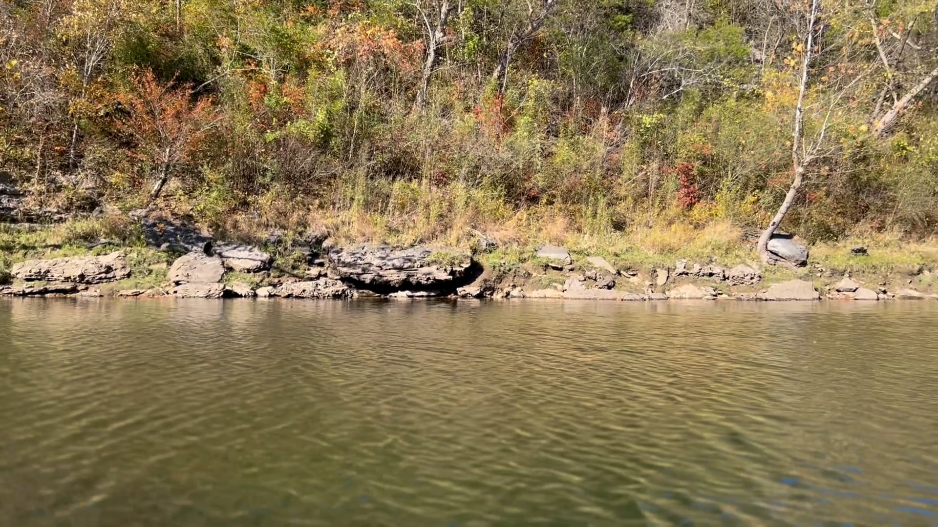Water Conditions