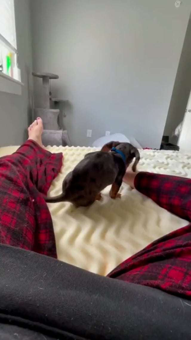 Ines Vasquez Album on Vimeo