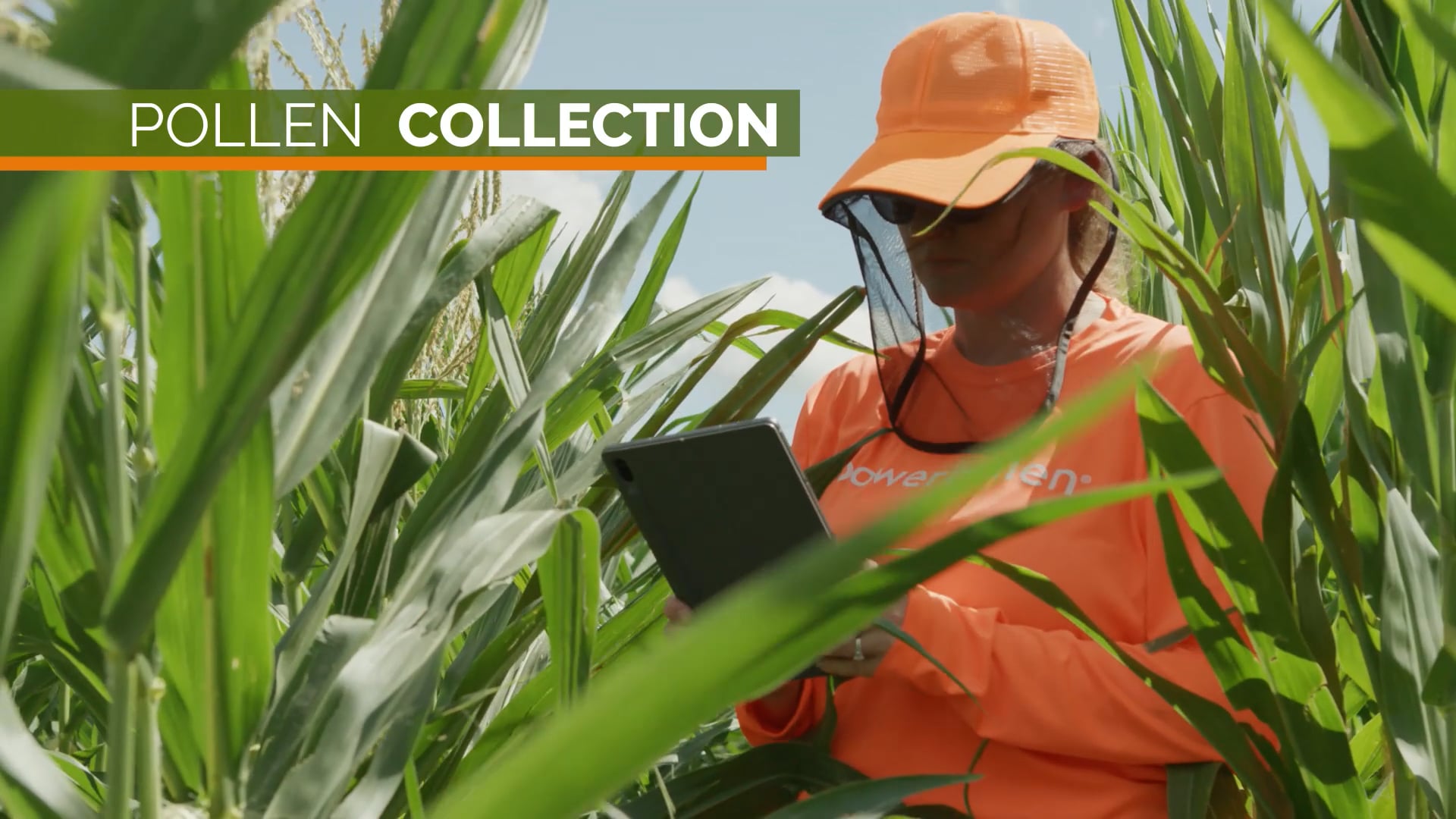 Power Pollen - How it is done on Vimeo