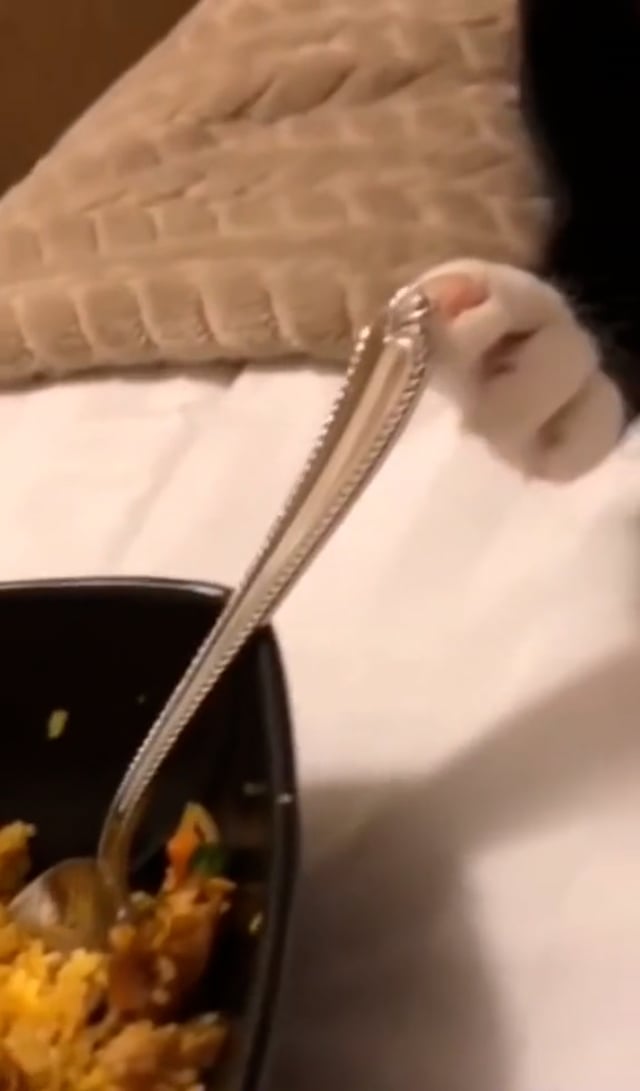 Ines Vasquez Album on Vimeo