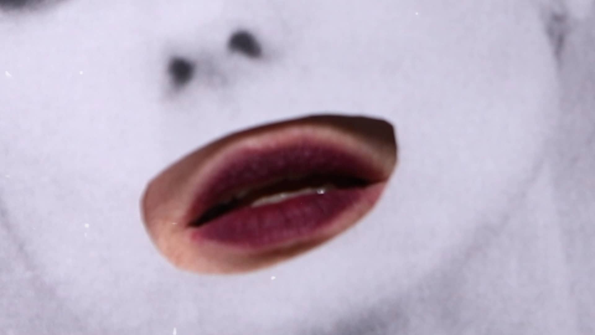 Peacock Strip Tease on Vimeo