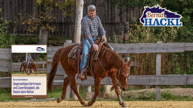 Bernd Hackl Webinare on Vimeo