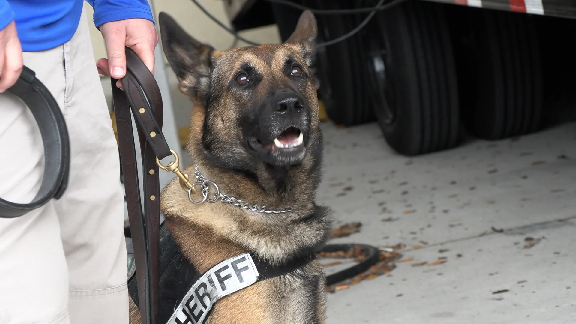Narcotics Detection Training at OCSO on Vimeo