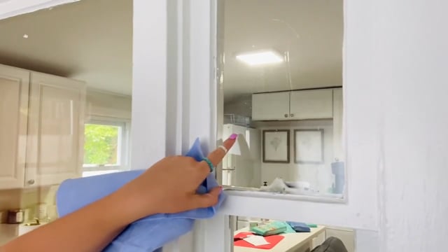 Non-Toxic Glass Cleaner | Ammonia Free Window Cleaner | Truly Free Home