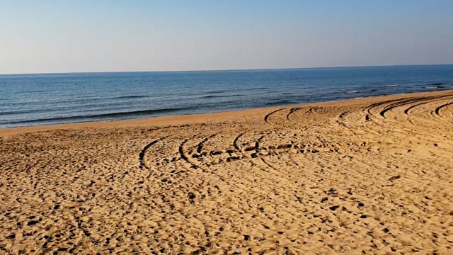 Sea Beach Sand Free Stock Video - Pixabay