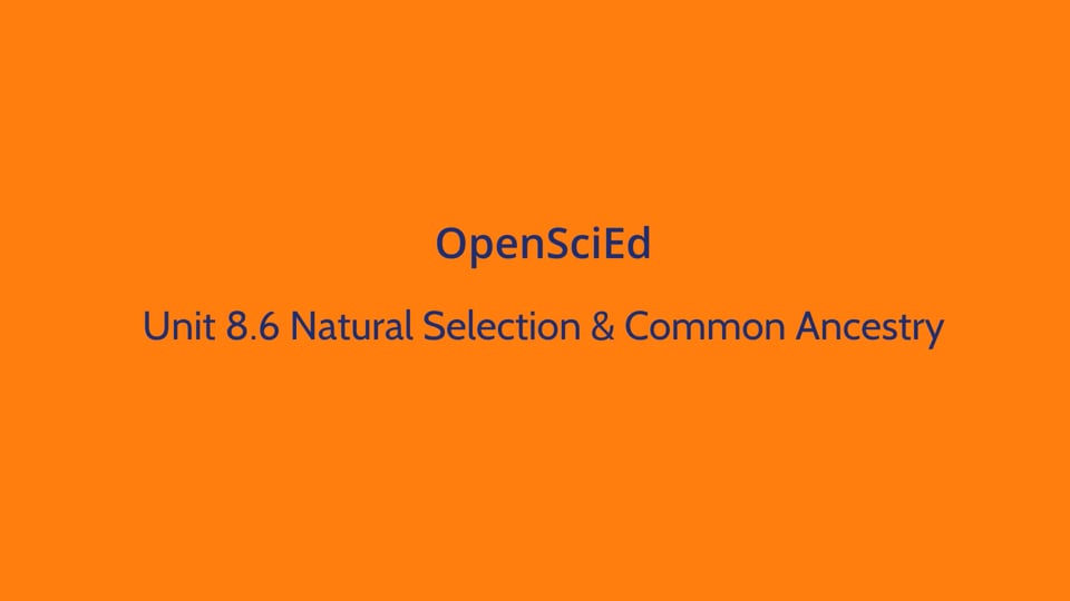 8th Grade Natural Selection & Common Ancestry Unit - MS-LS1-4, MS-LS4-1 ...