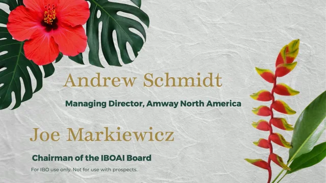 Amway Ibo Business Cards