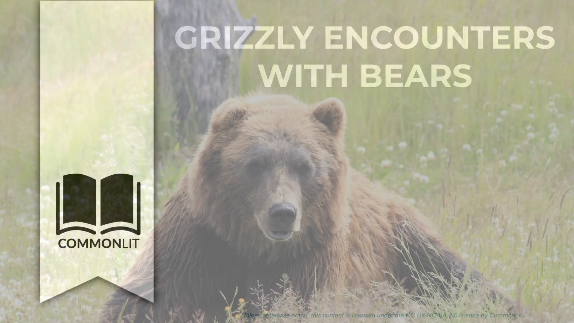 Target Lesson: Grizzly Encounters with Bears