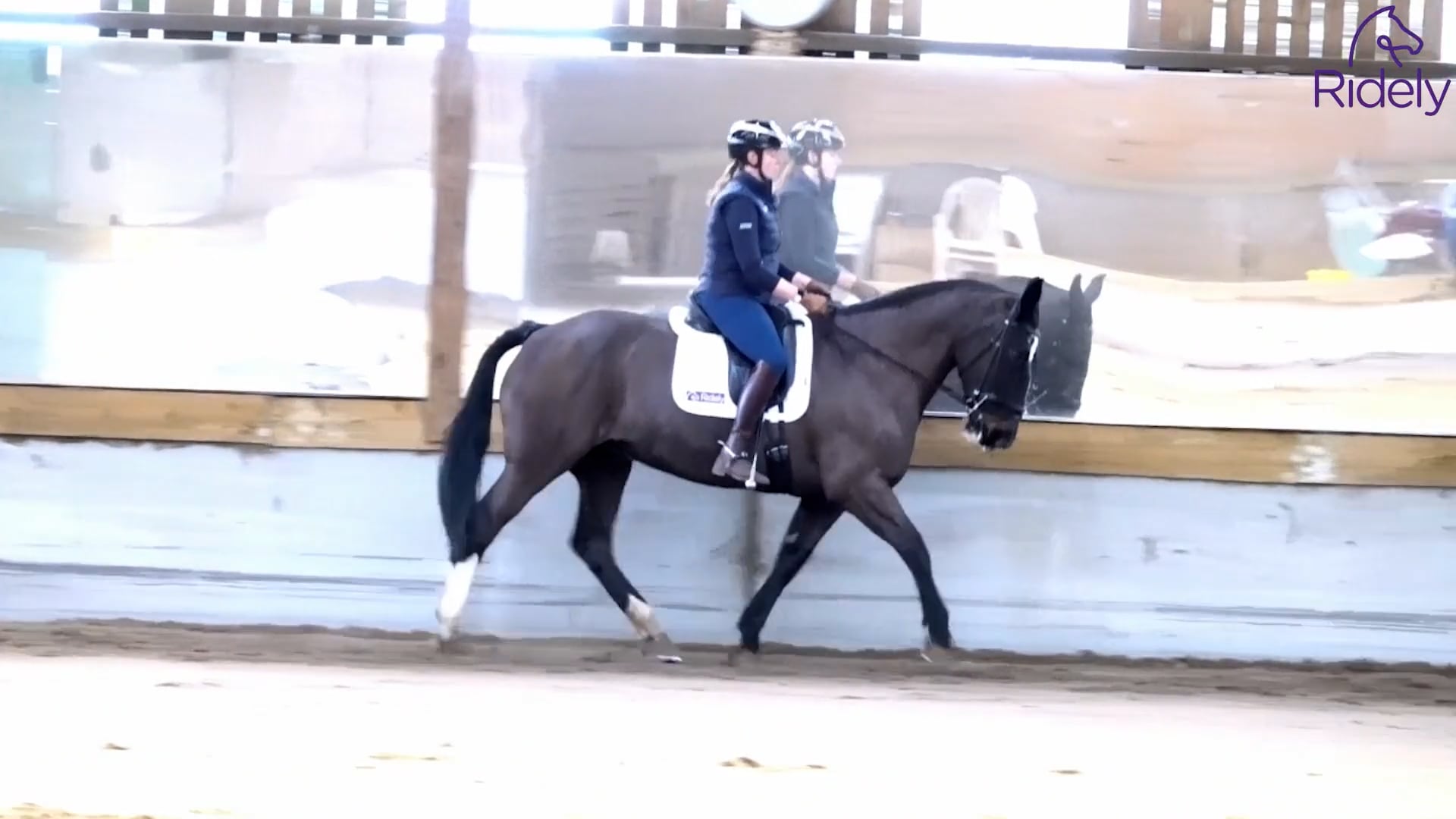 Improving your Transitions | Ridely