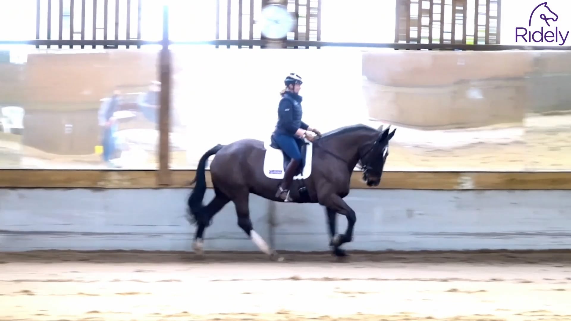 Riding Accurate Transitions | Ridely