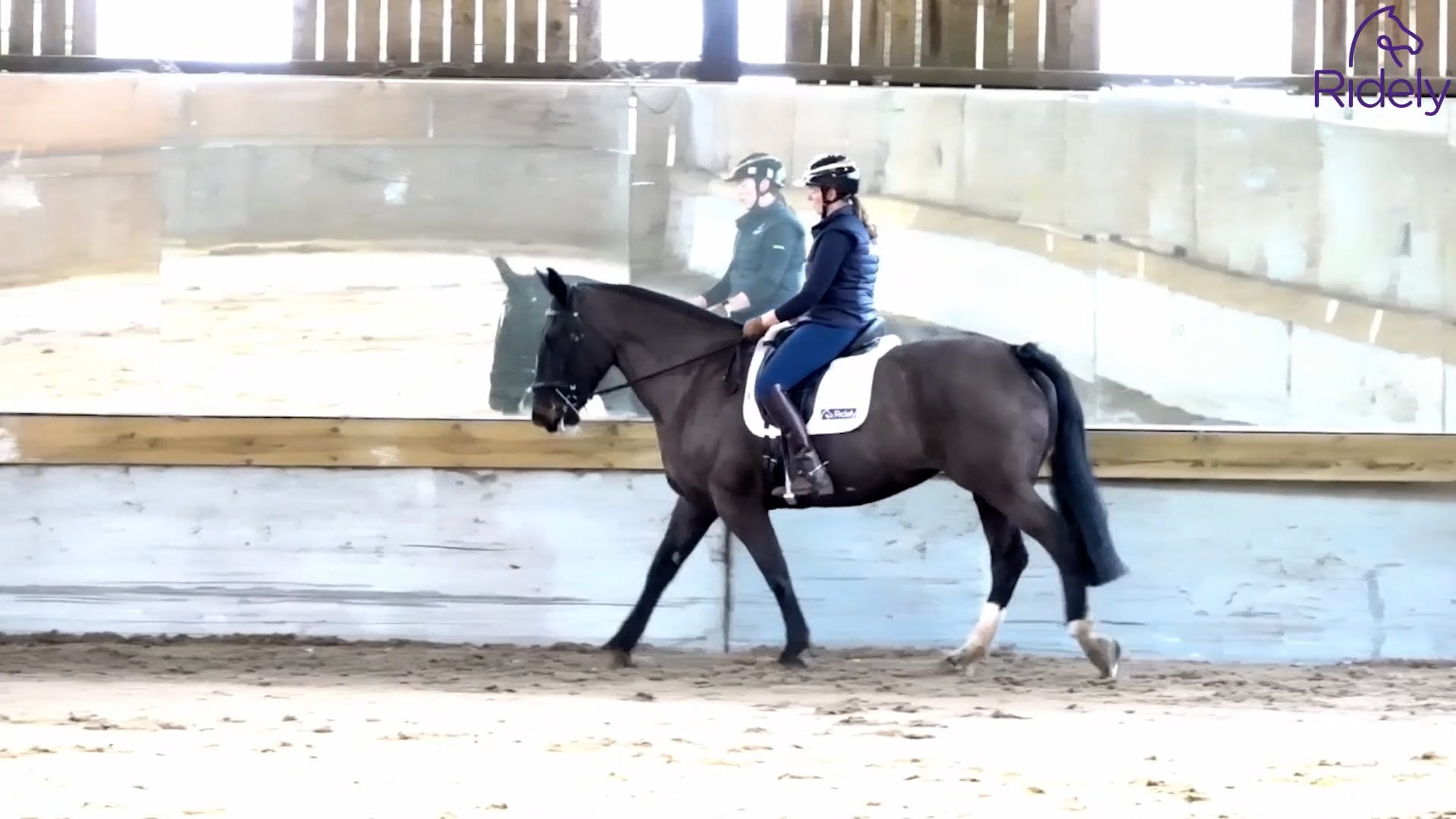 Preparing Transitions for Test Riding | Ridely