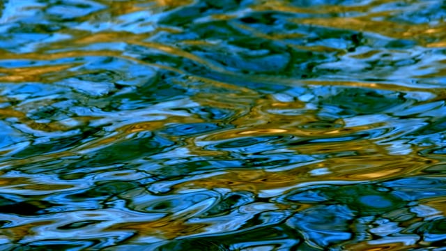 Water Waves Lake - Free video on Pixabay