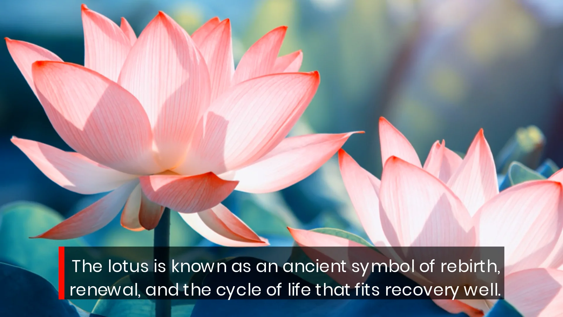 Powerful Symbols to Celebrate Sobriety & Recovery from Find Addiction ...