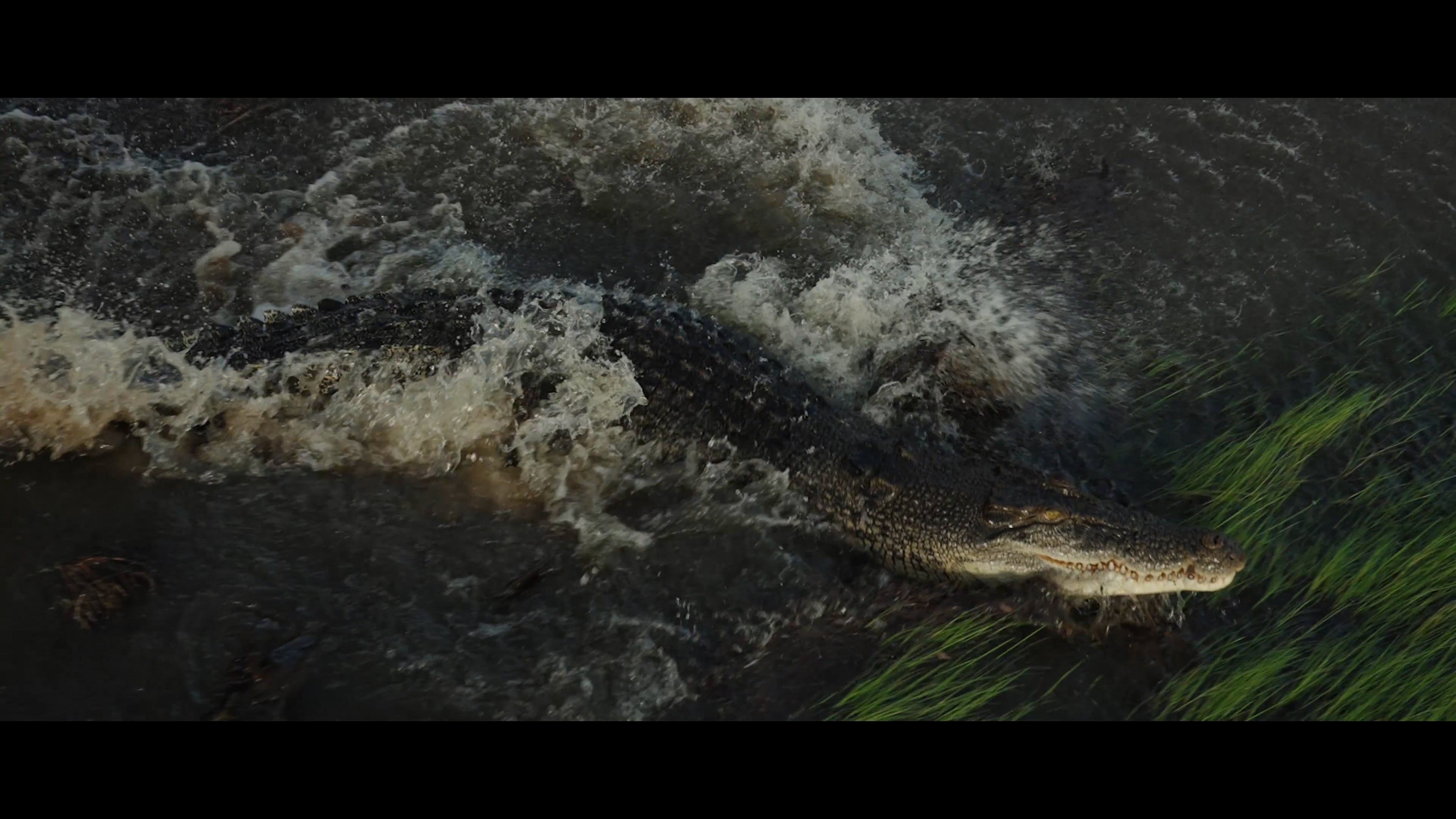Northern Territory chopper pilot - Seb Robinson on Vimeo