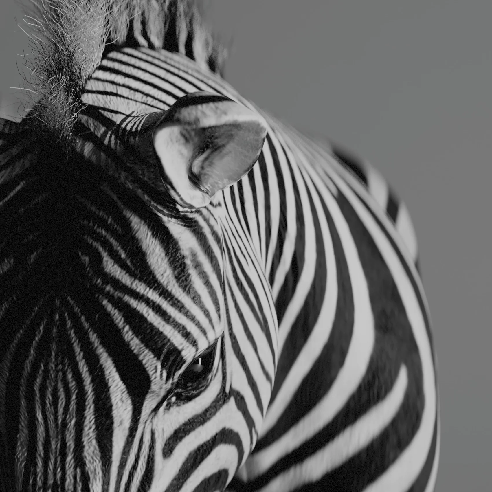 BACK_TO_ZERO.mp4 on Vimeo