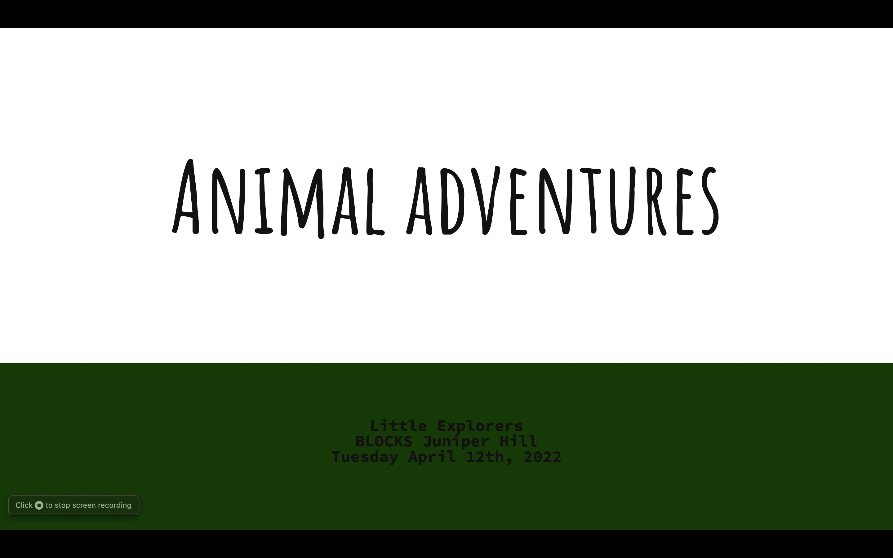 Animal Adventures on Vimeo