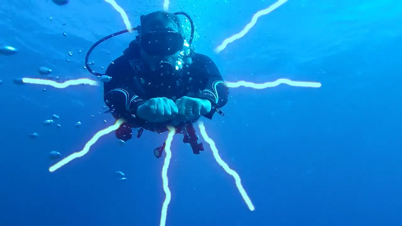 diving trip on Vimeo