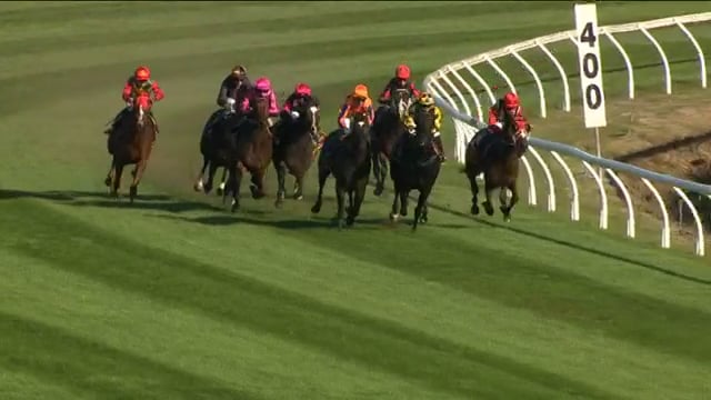 I Am Invincible - Stallion | Breednet