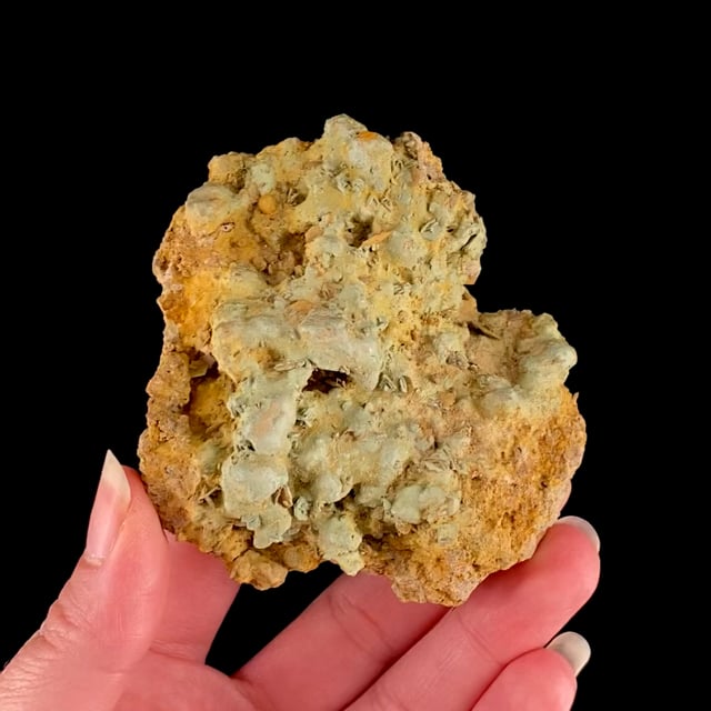 Quartz paramorph after Tridymite (rare triclinic Quartz polymorph) (ex ...