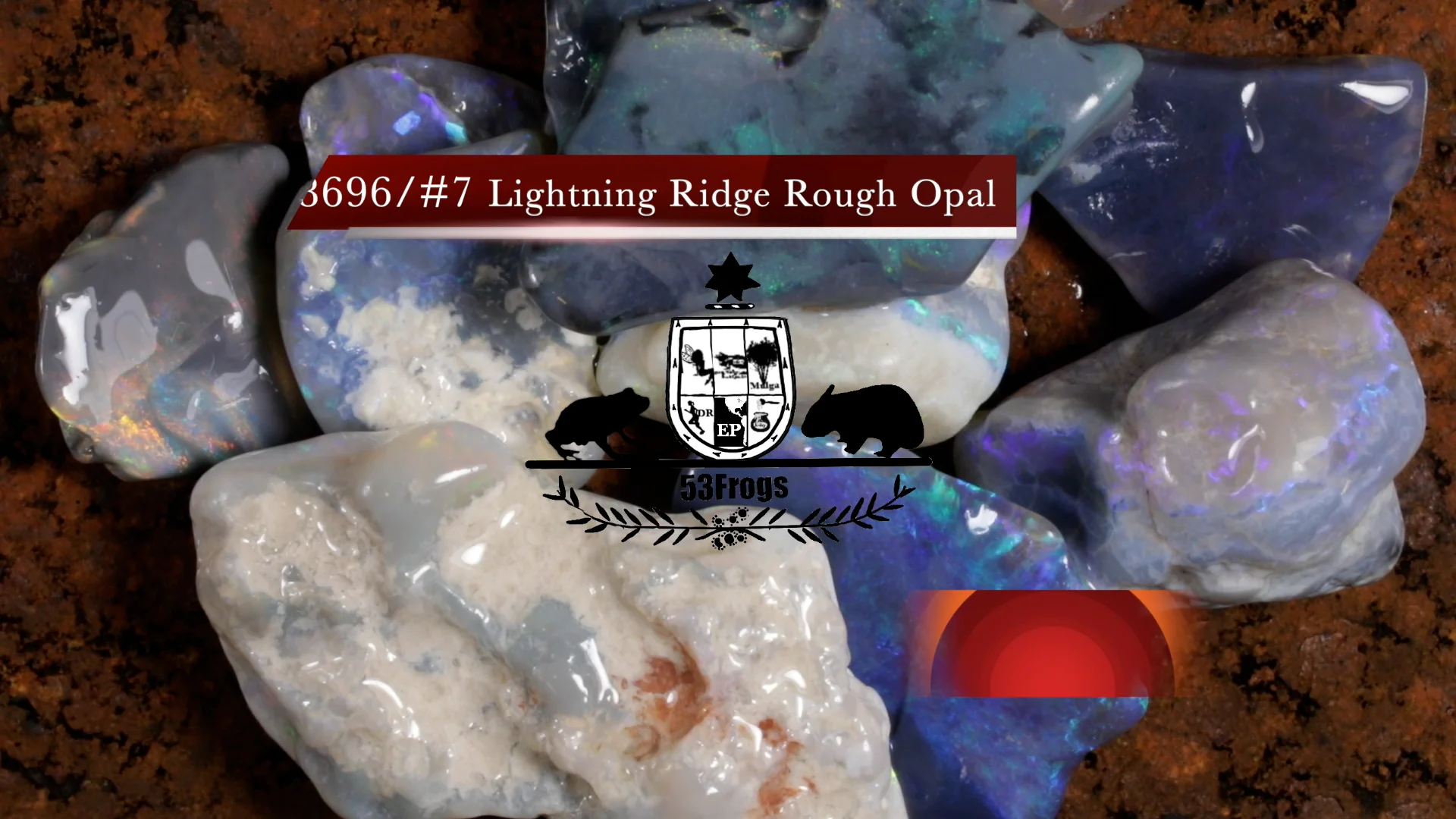 48696 LR Search [53FROGS] for our Dedicated No Reserve Auctions .mov