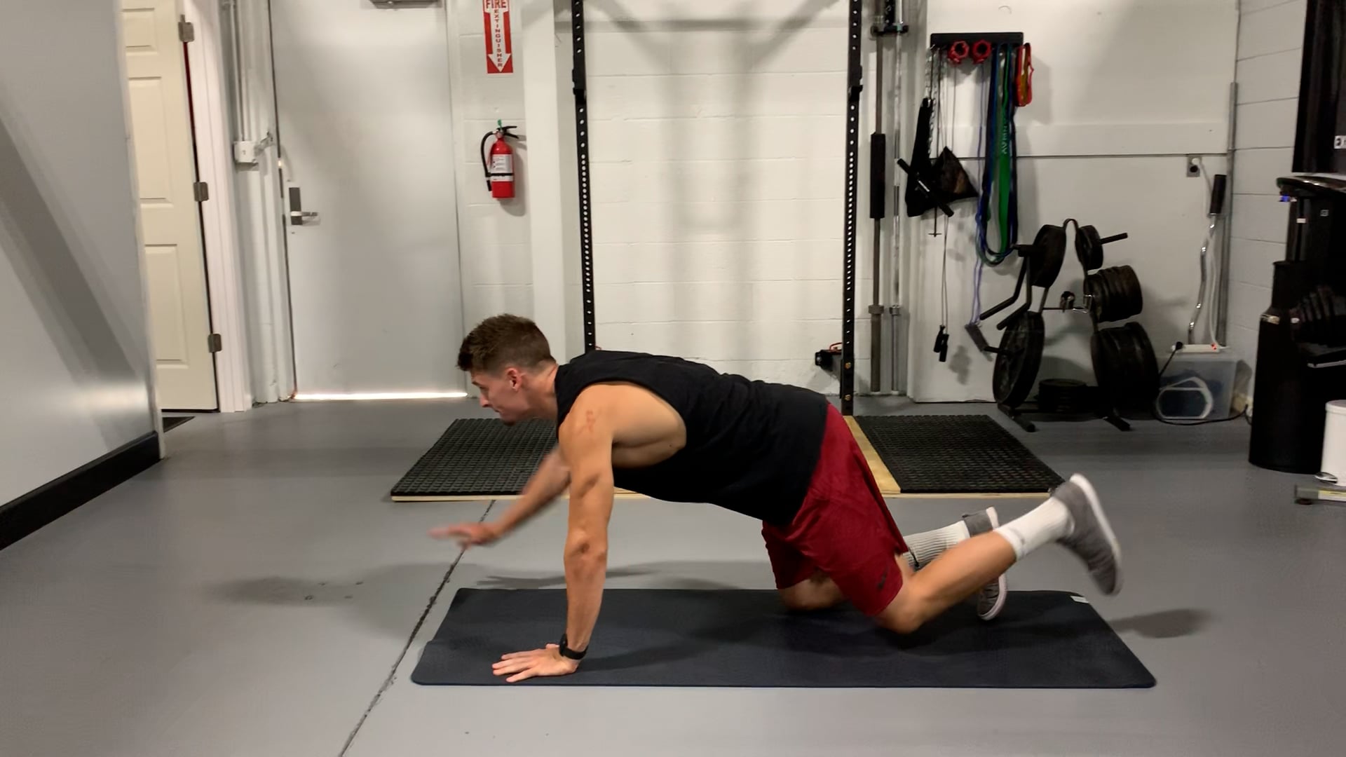 Quadruped Arm Opposite Leg Raise on Vimeo