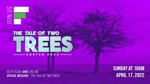 Special Message: "The Tale of Two Trees" - Green Bay First