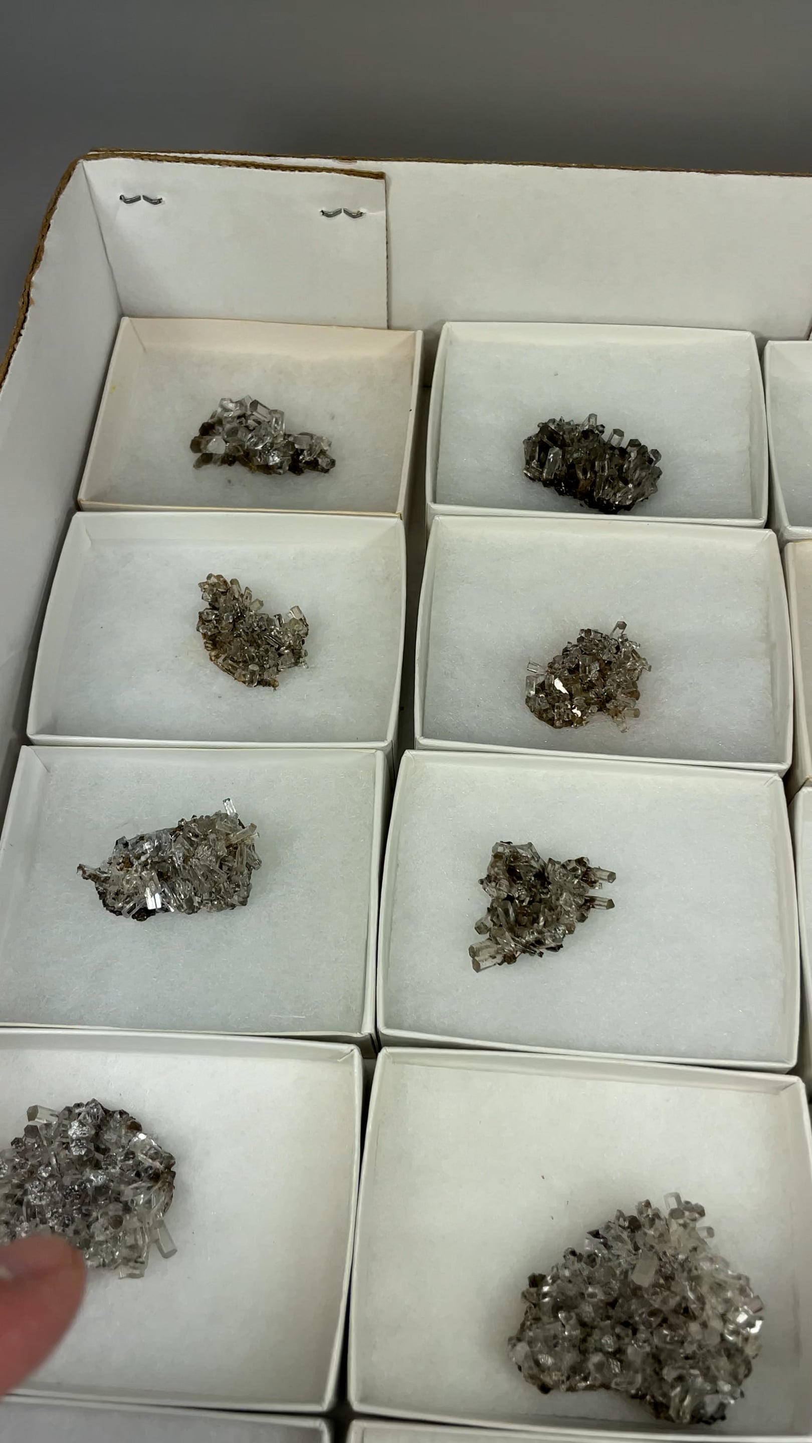 IMG_E2298.MOV on Vimeo