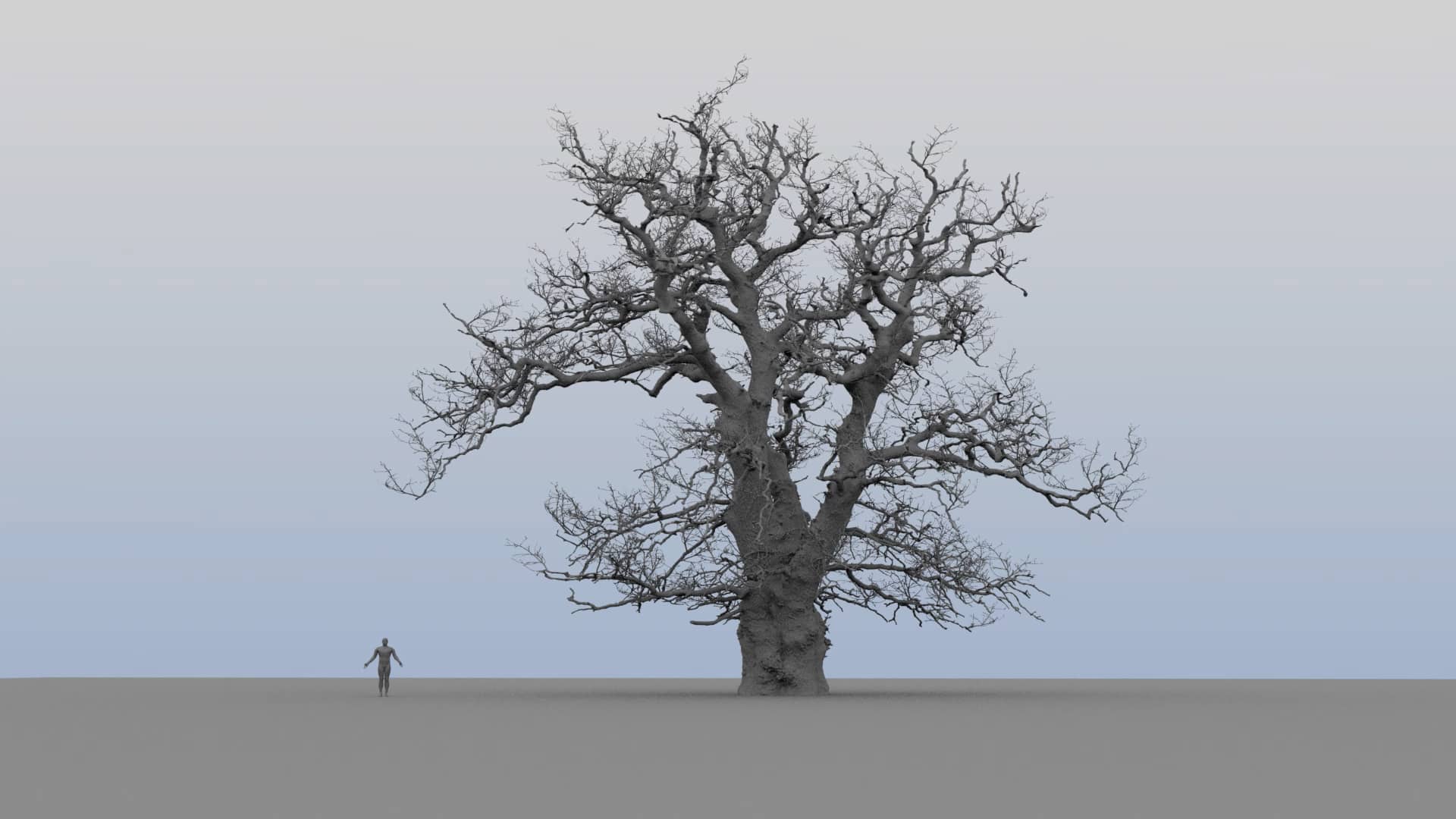 Houdini Tree Setup L.Groeger 2022 on Vimeo