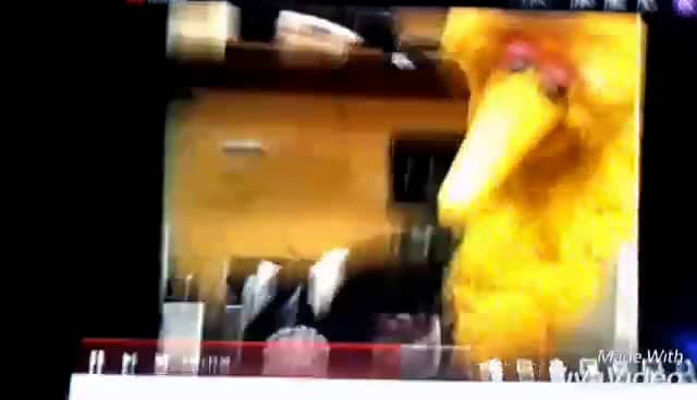 The Kaden Movie - Kaden Dixon Visits on Vimeo