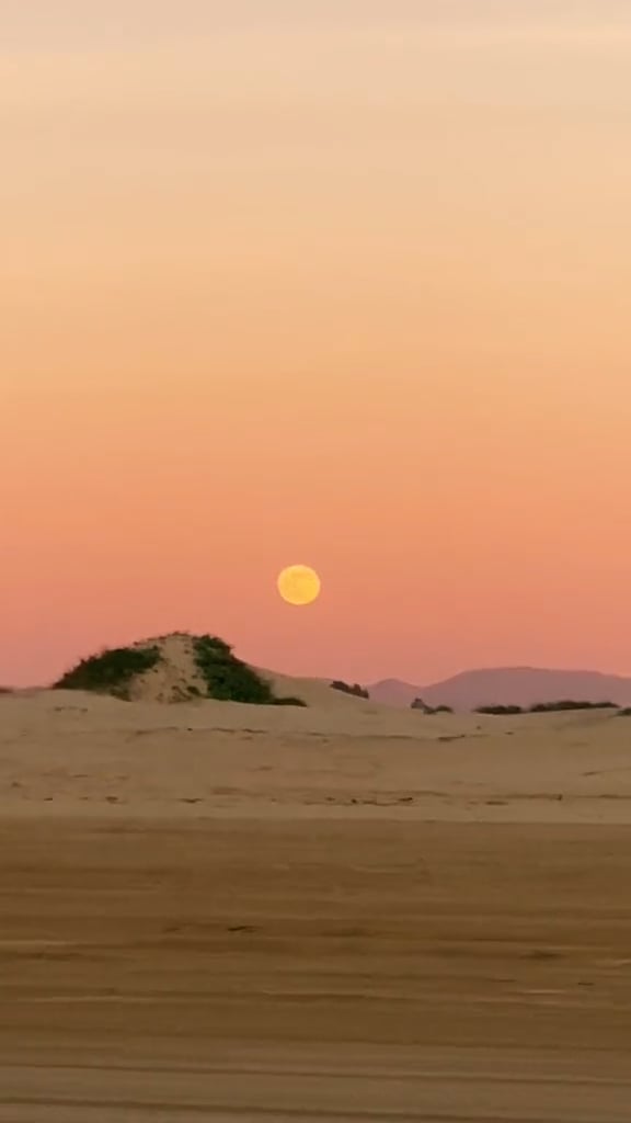 sequoia foss on Vimeo