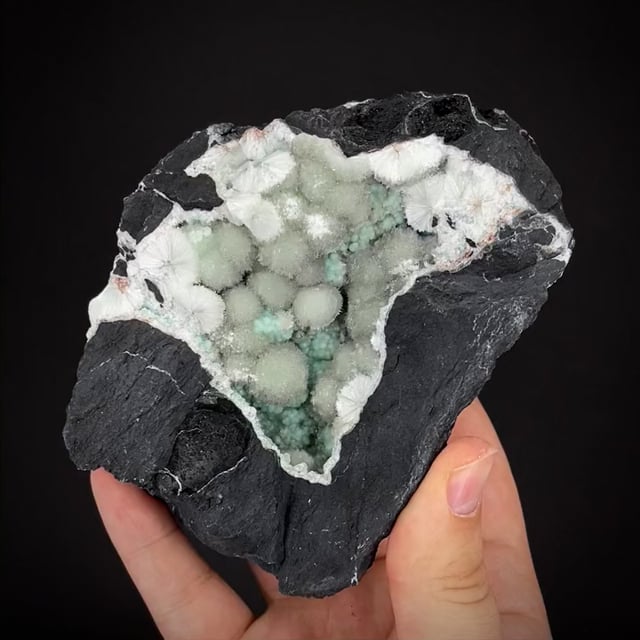 Wavellite & Variscite on Quartz (rare Nevada) Martin Jensen Coll ...