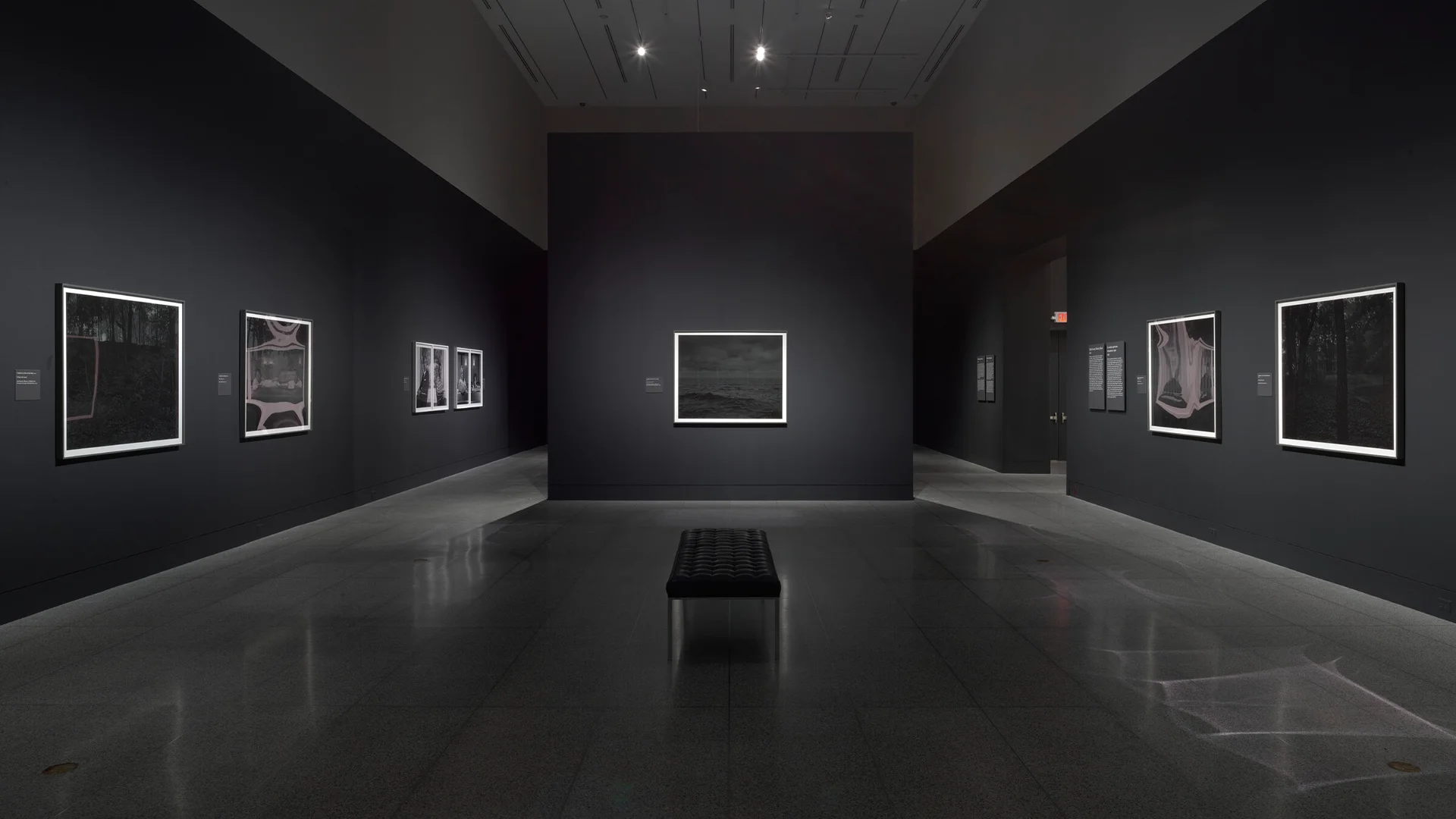 “Dawoud Bey: An American Project” | An Overview on Vimeo