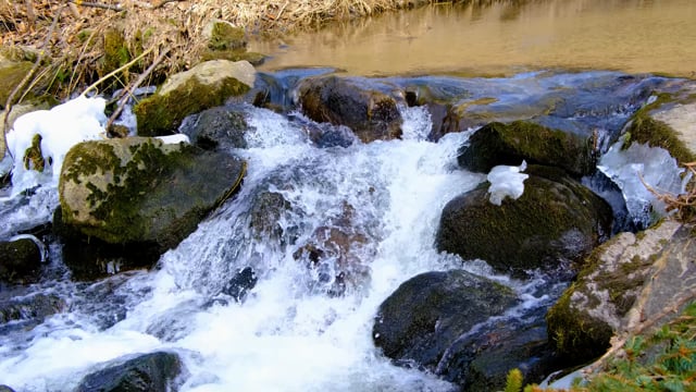 Water Bach River Course - Free video on Pixabay