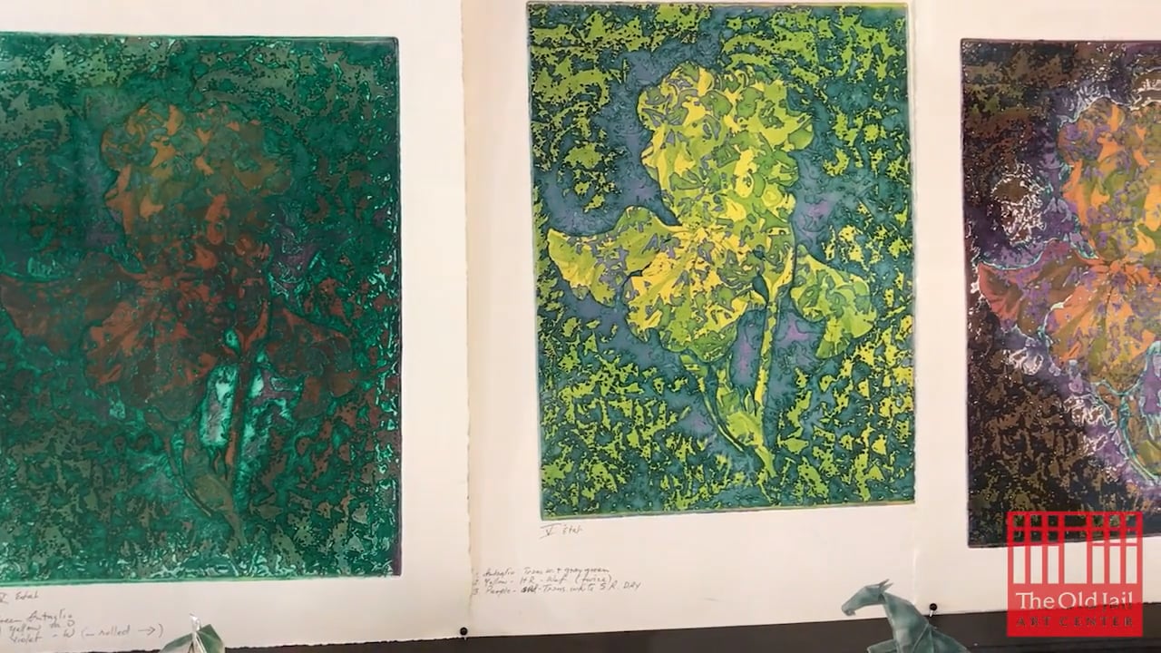 tiny-tour: Fort Worth Circle Artist Cynthia Brants on Vimeo