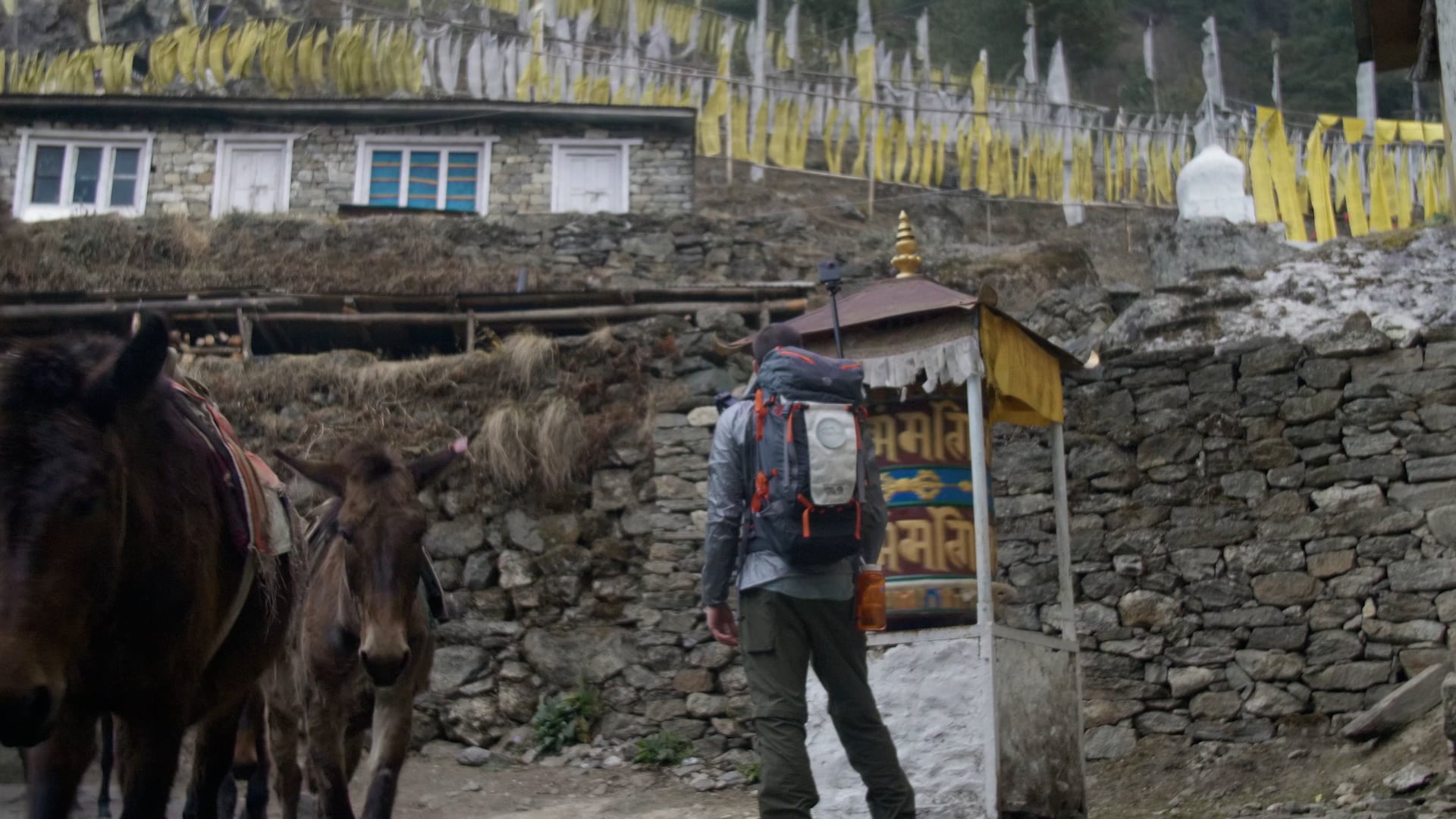 Watch THE QUEST: Nepal Online | Vimeo On Demand on Vimeo
