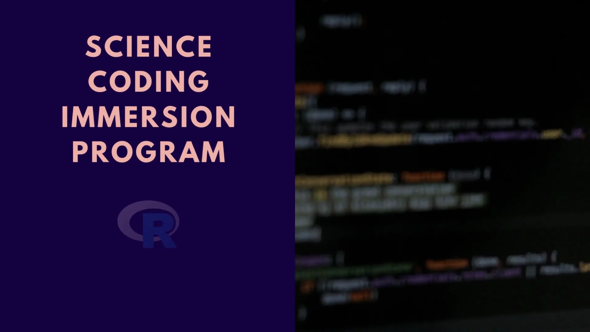 SolutionsProject1.mp4