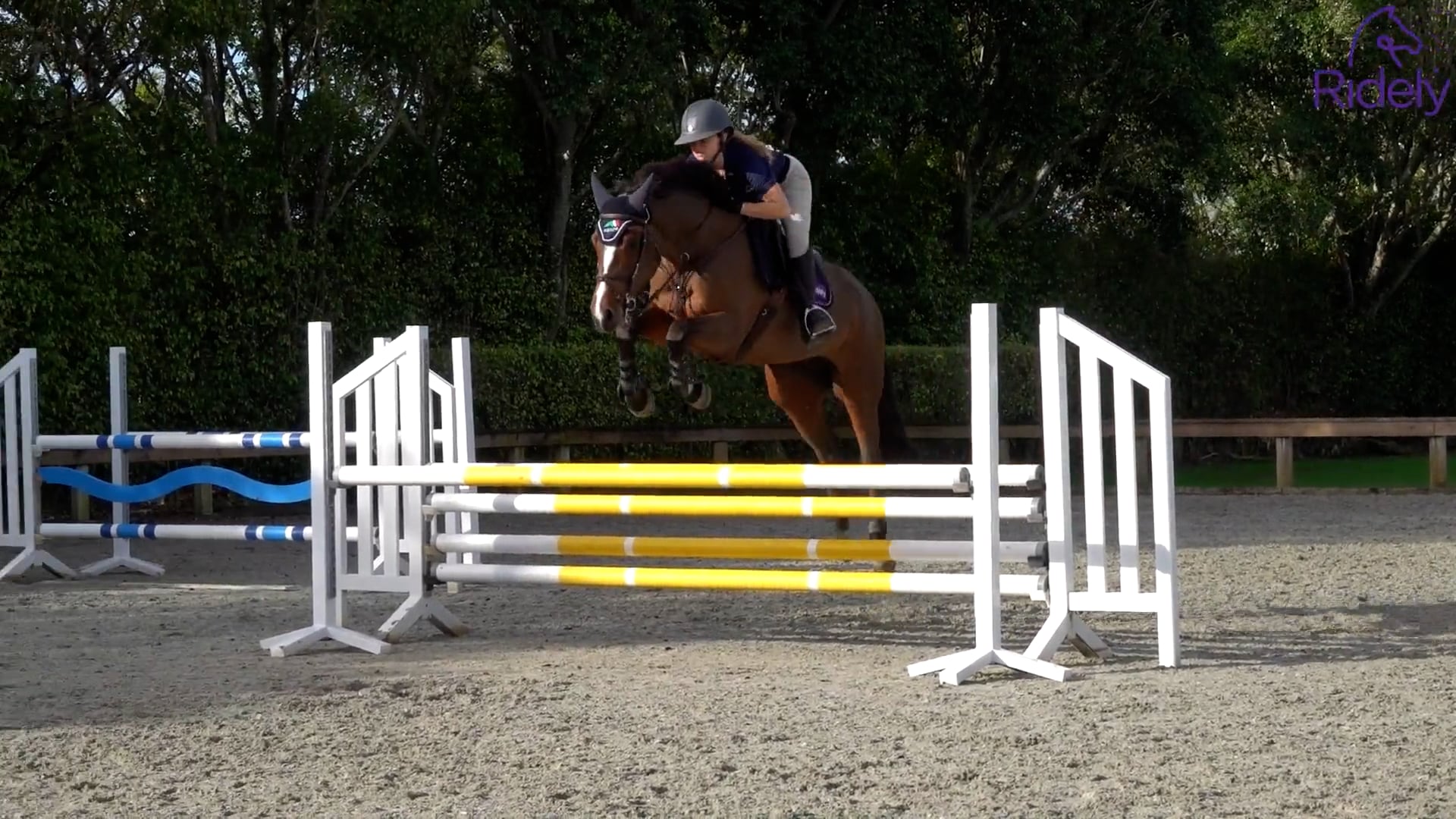 Finding the Distance | Ridely