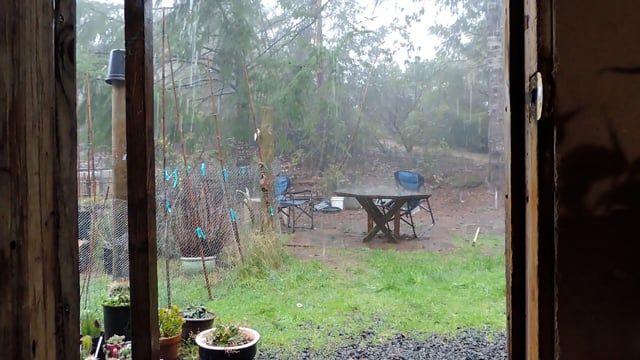 Weather Rain Outdoors - Free video on Pixabay