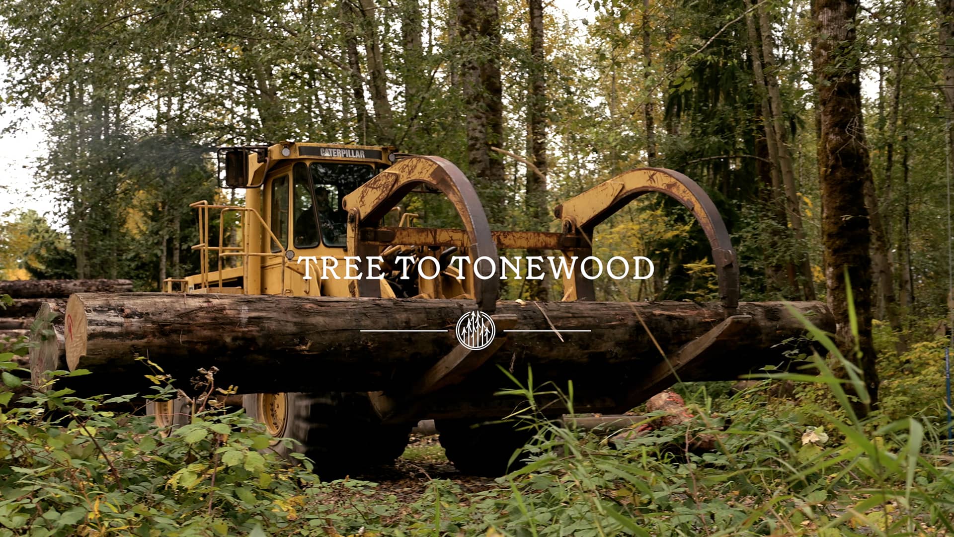 Pacific Rim Tonewoods - Tree to Tonewood on Vimeo