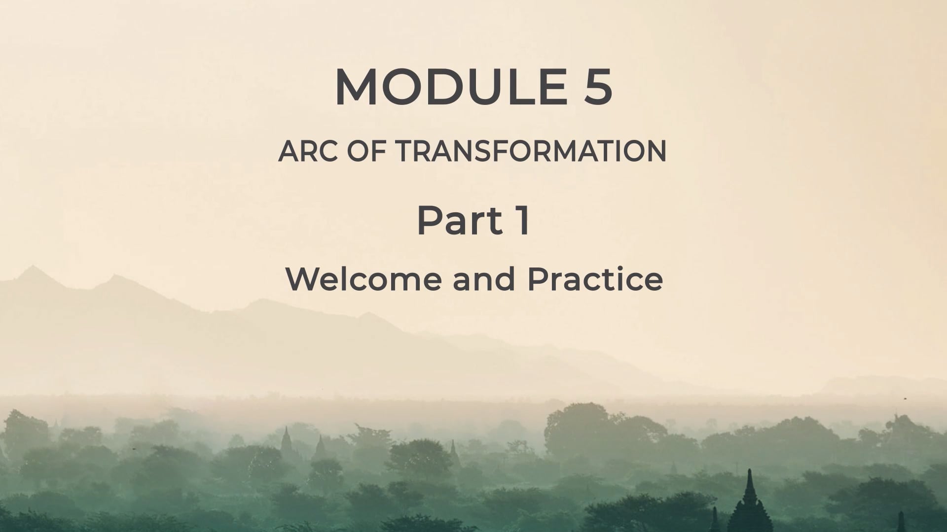 Module 5: Arc of Transformation - learn.therapywisdom.com