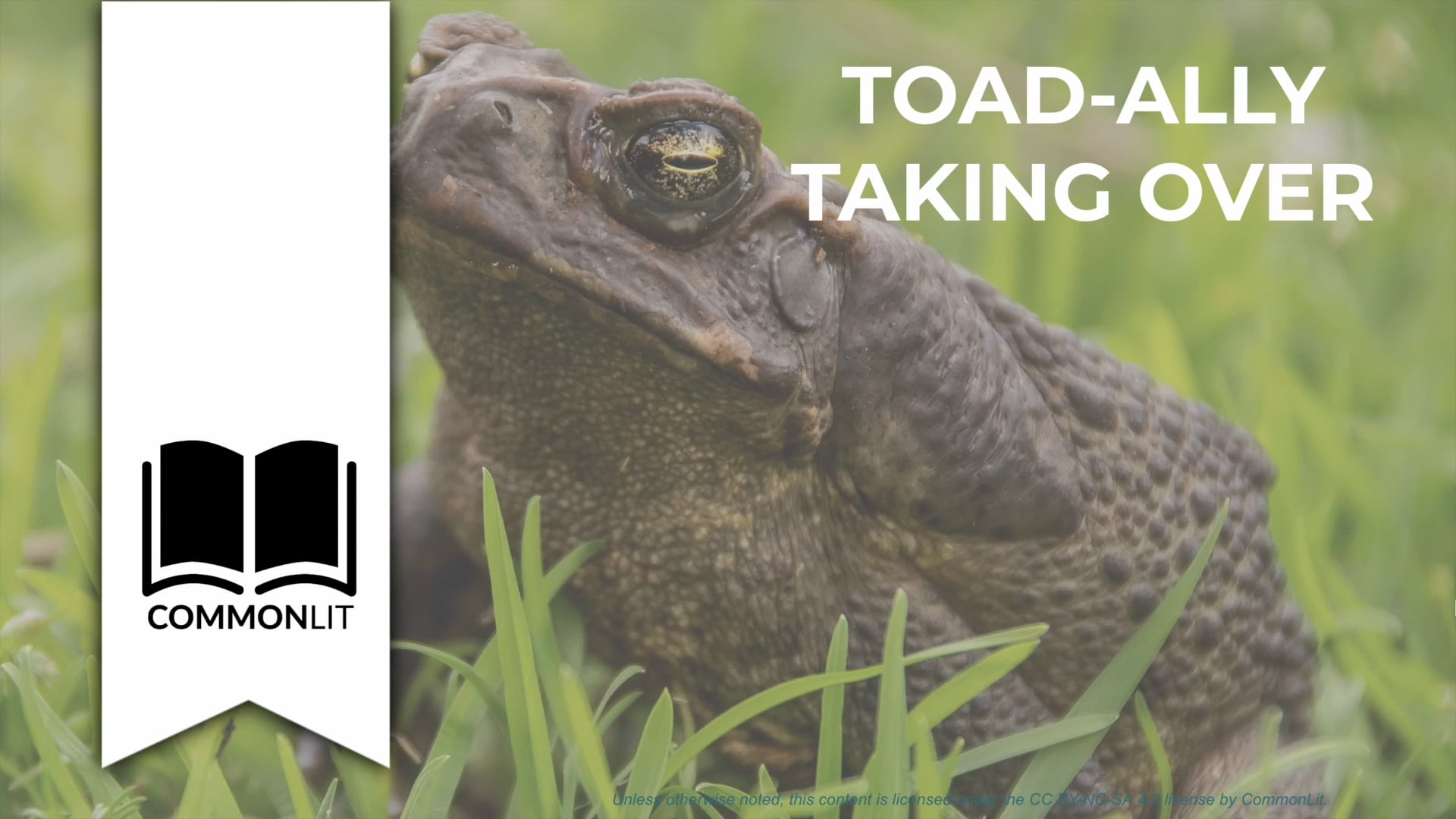 Target Lesson: Toad-ally Taking Over