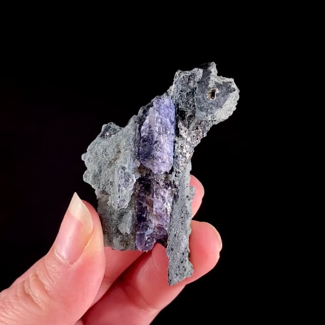 Jeremejevite on Foitite Tourmaline (RARE matrix specimen!) | Ameib Farm ...