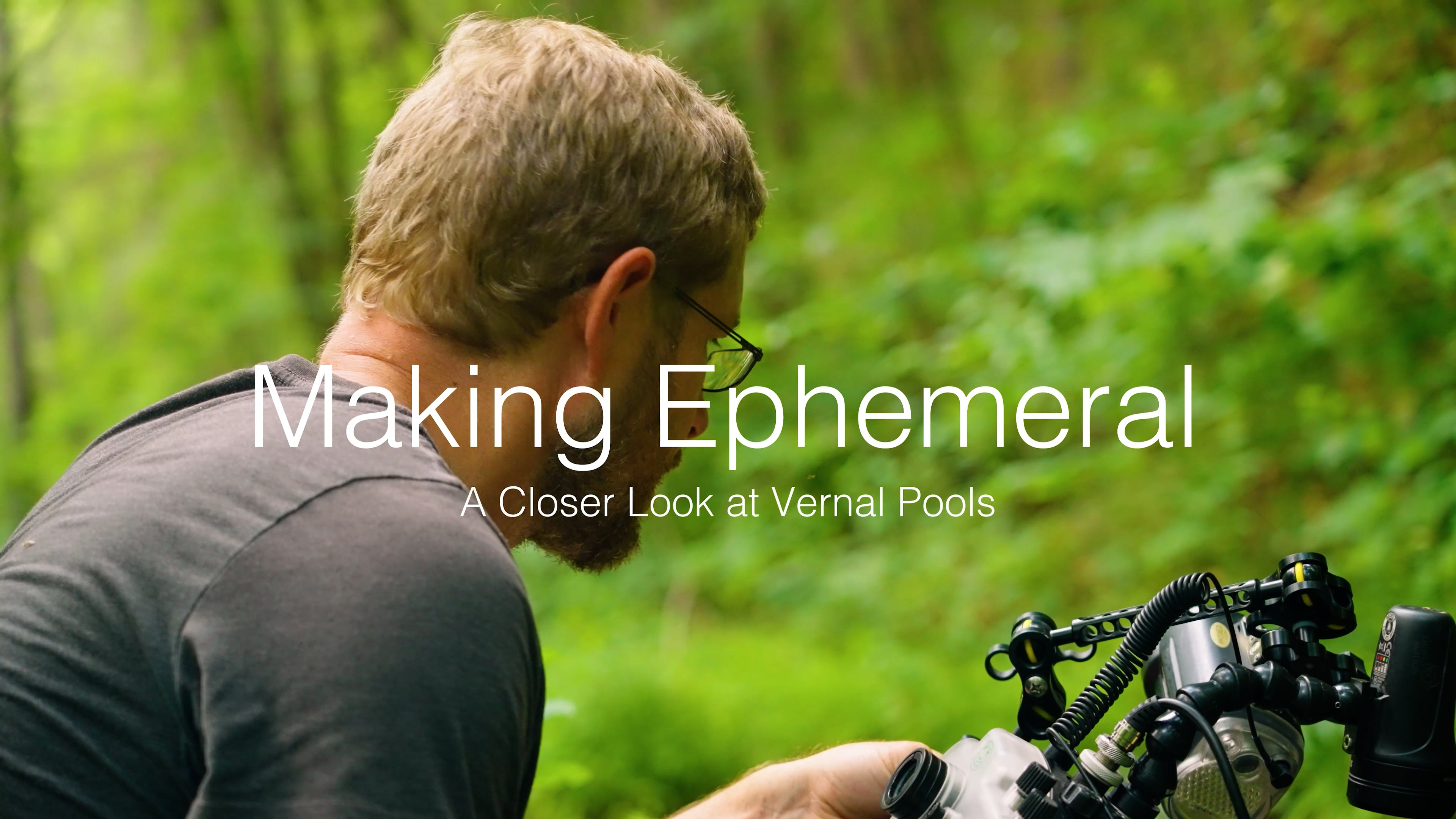 Making Ephemeral - A Closer Look at Vernal Pools on Vimeo