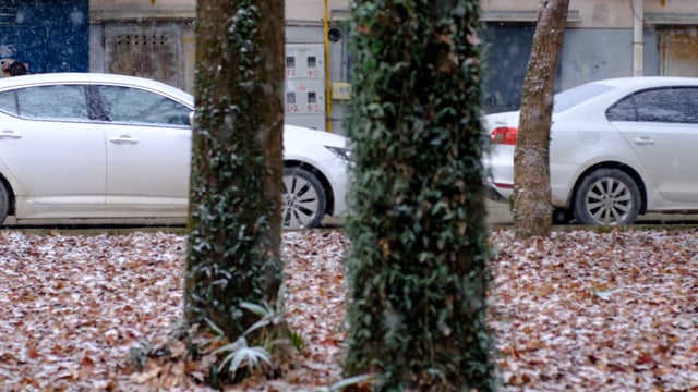 Flocon De Neige Hiver Auto - Free video on Pixabay - Pixabay