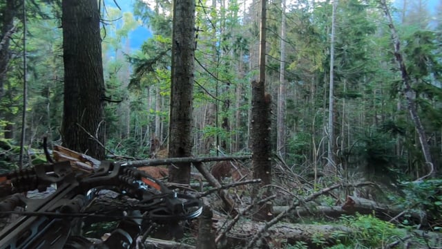 Crossbow Shooting - Free video on Pixabay